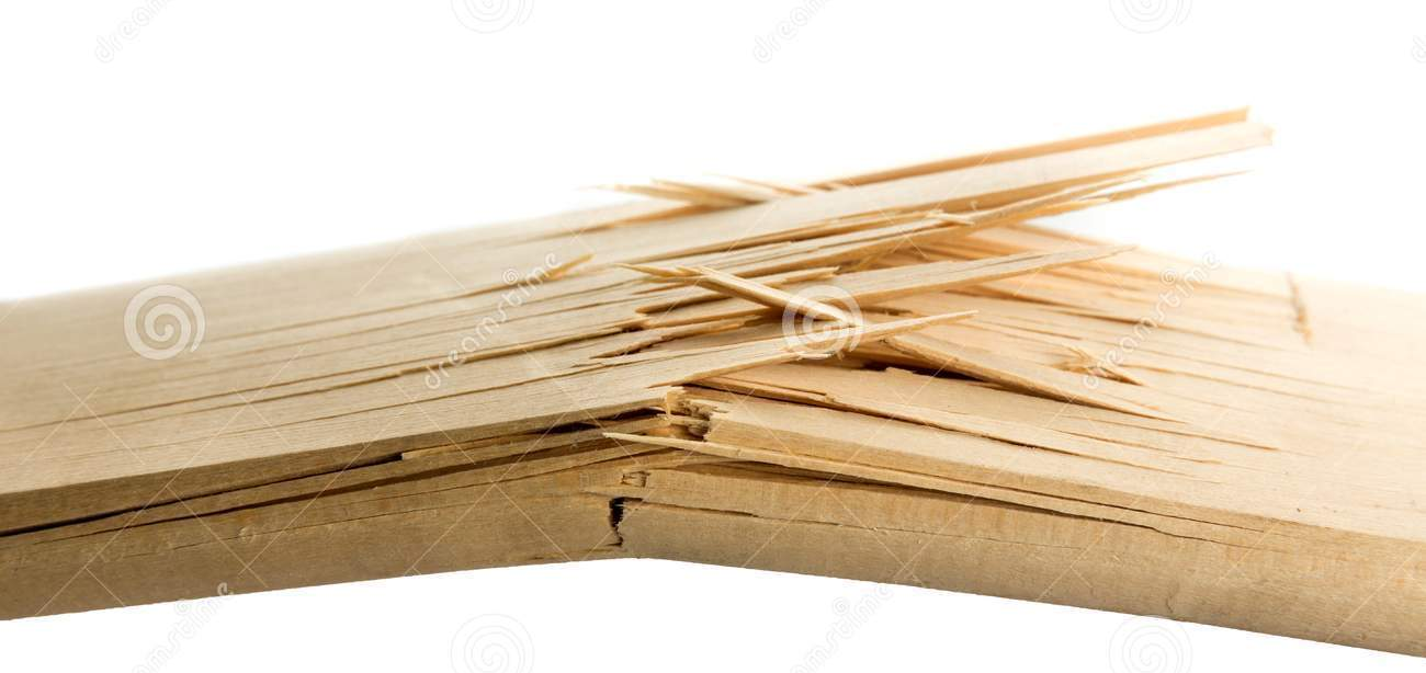 Adventures And Funny Tales! | SBE